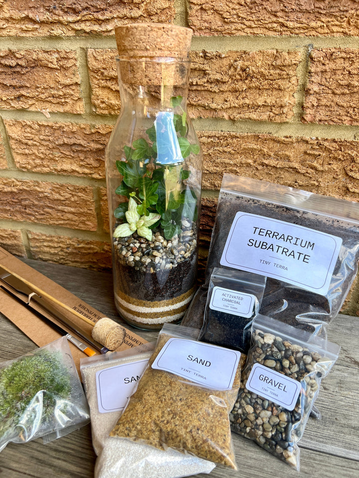 Tiny Terra | Terrariums, Plants & Workshops