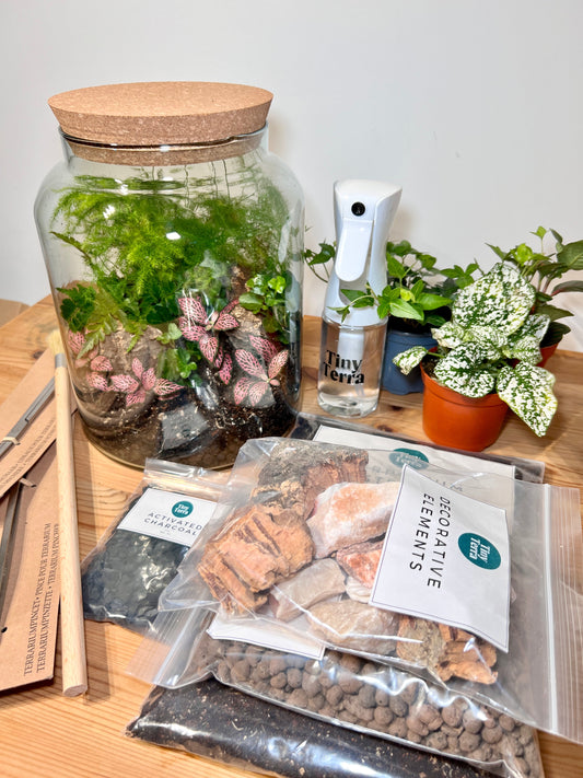 Tiny Terra | Terrariums, Plants & Workshops